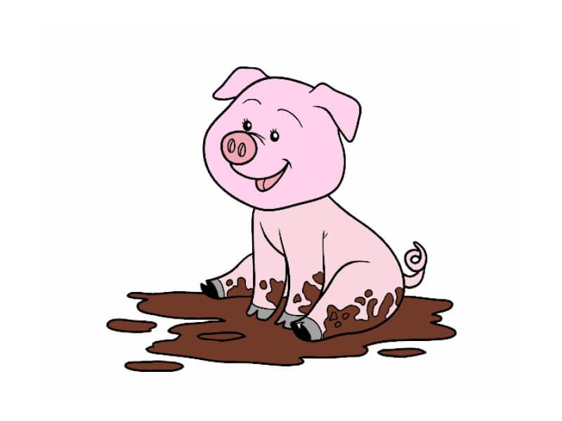 Dream About Pig Poop