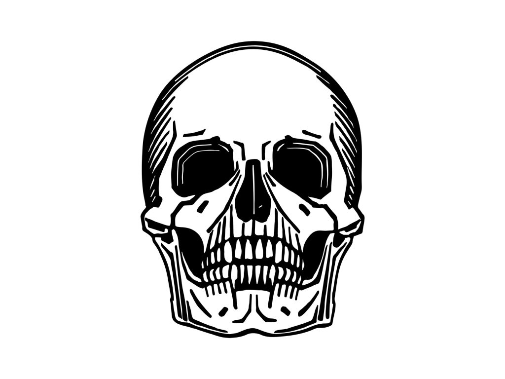 Soñar con Dibujo de Calavera